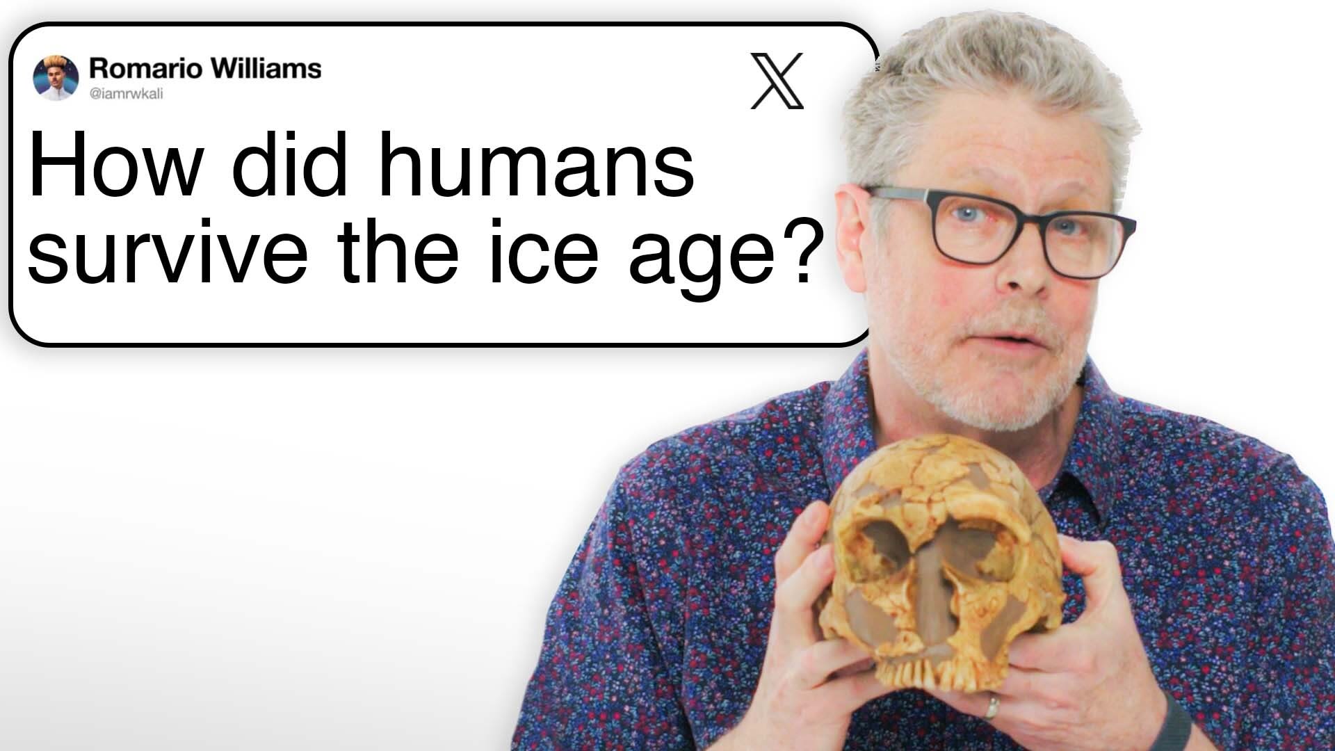 Watch Paleoanthropologist Answers Caveman Questions From Twitter | Tech ...