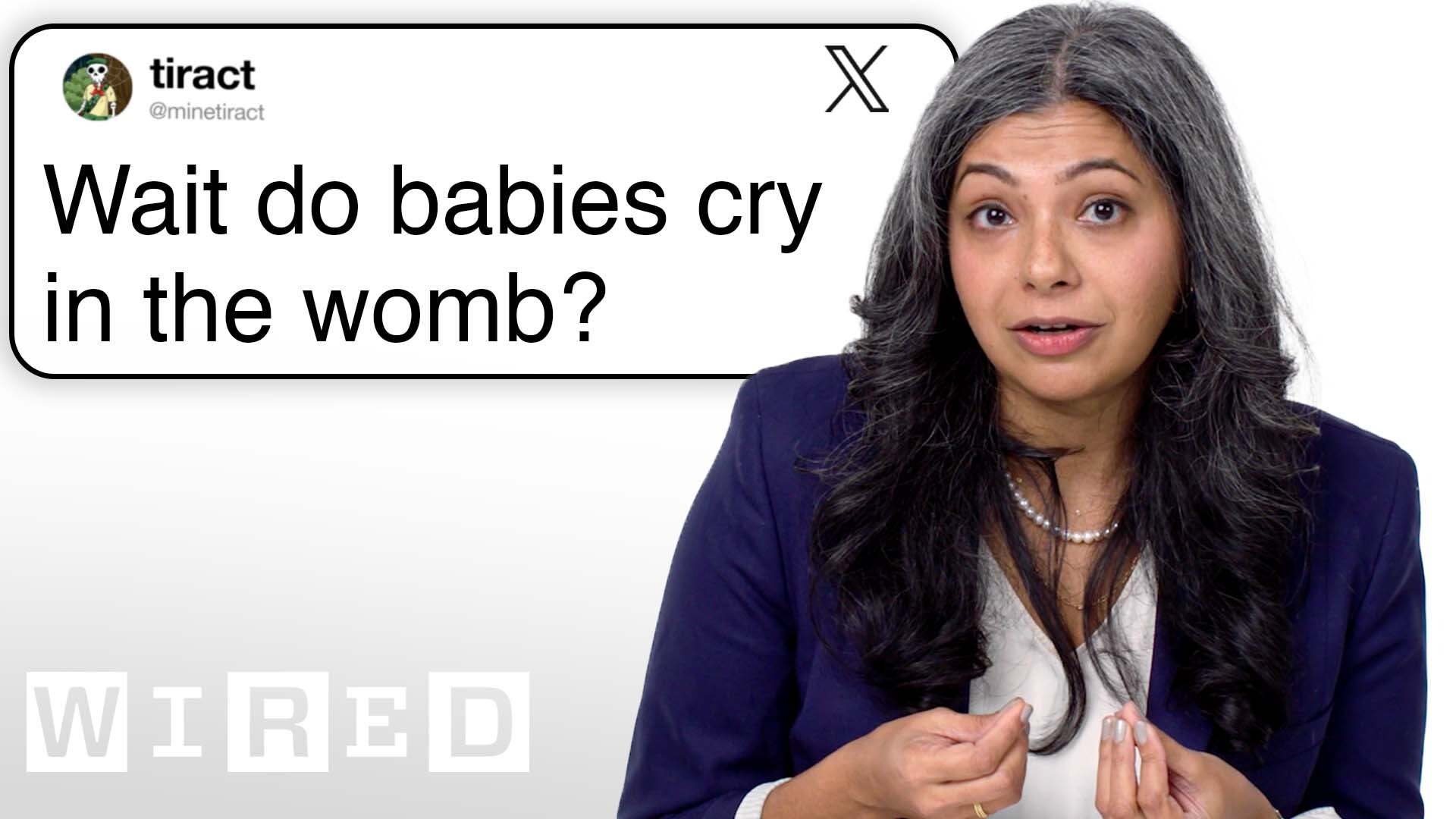 Watch Pregnancy Doctor Answers Pregnancy Questions | Tech Support | WIRED
