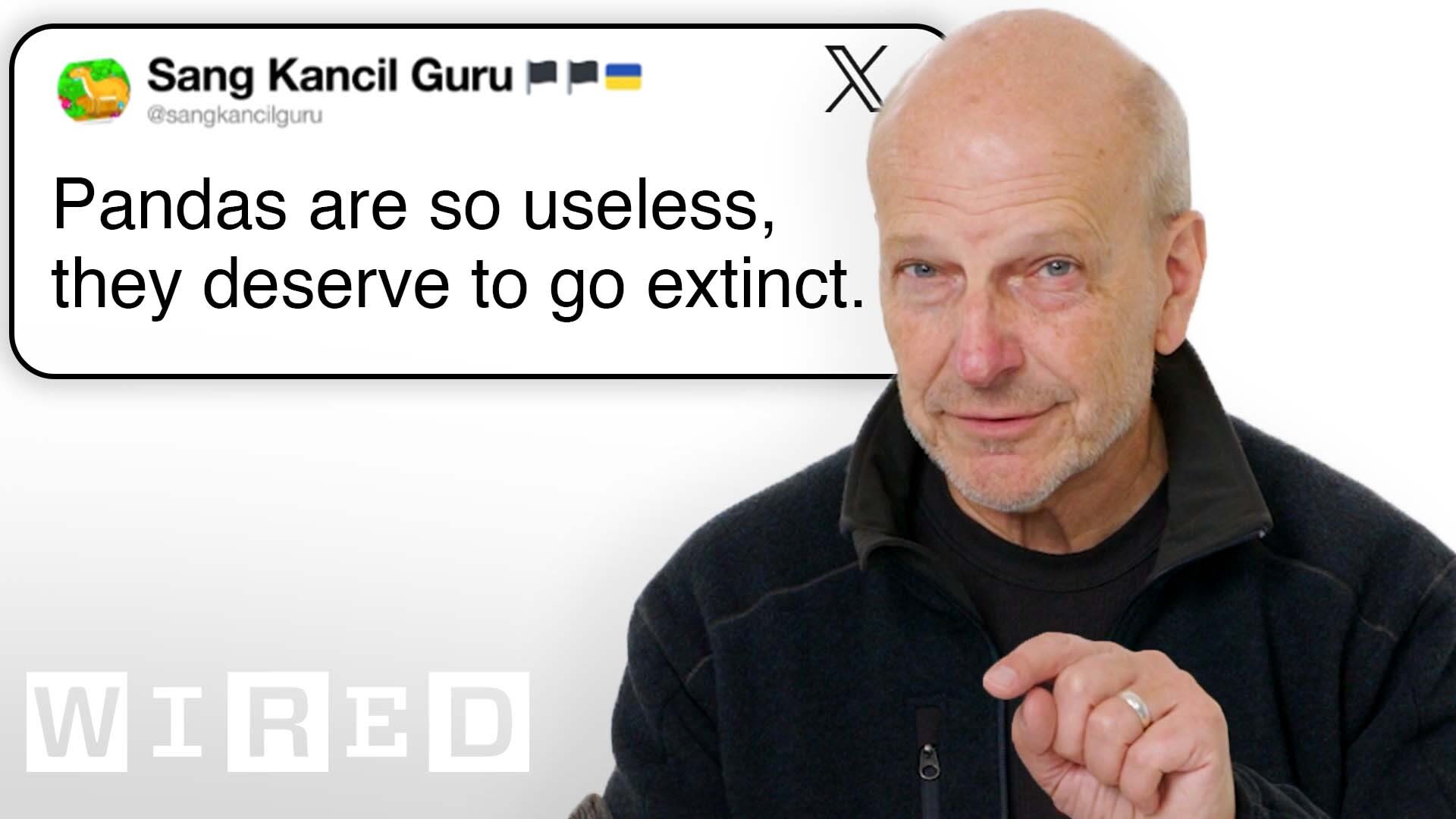 Watch Paleontologist Answers Extinction Questions | Tech Support | WIRED