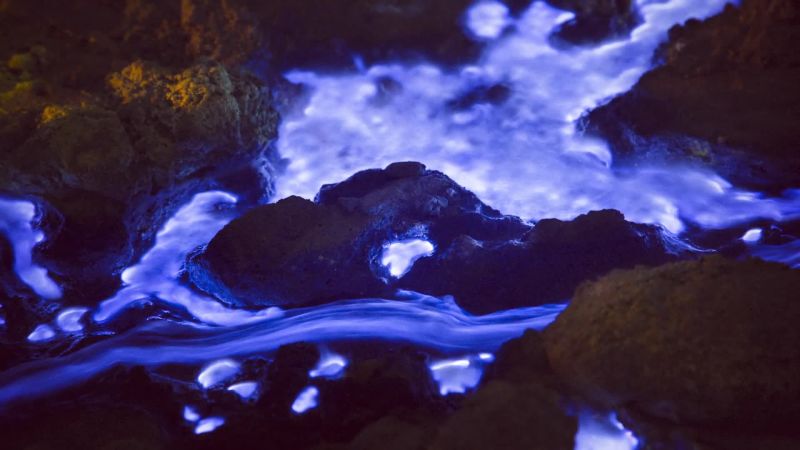 Neon Blue Lava