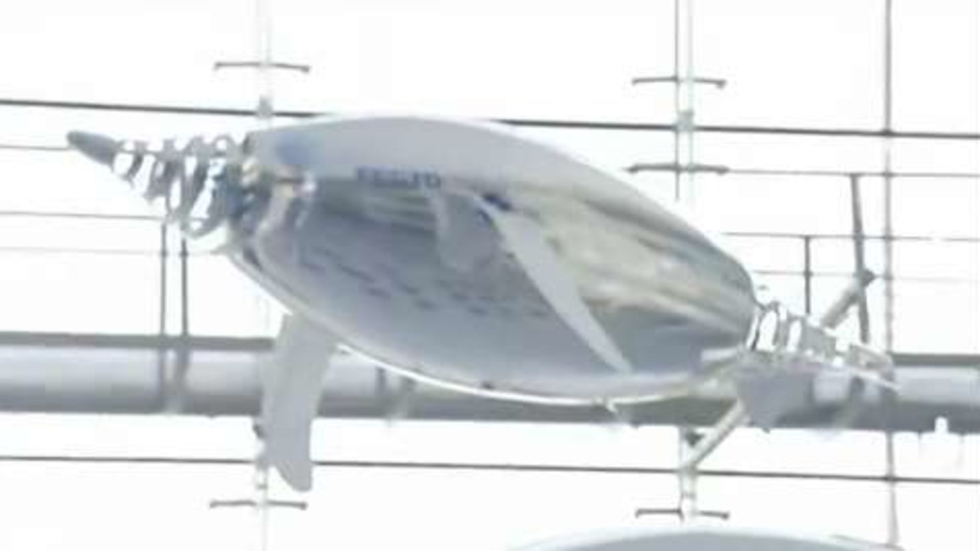 Watch I pinguini biomeccatronici di Festo | Wired Italia