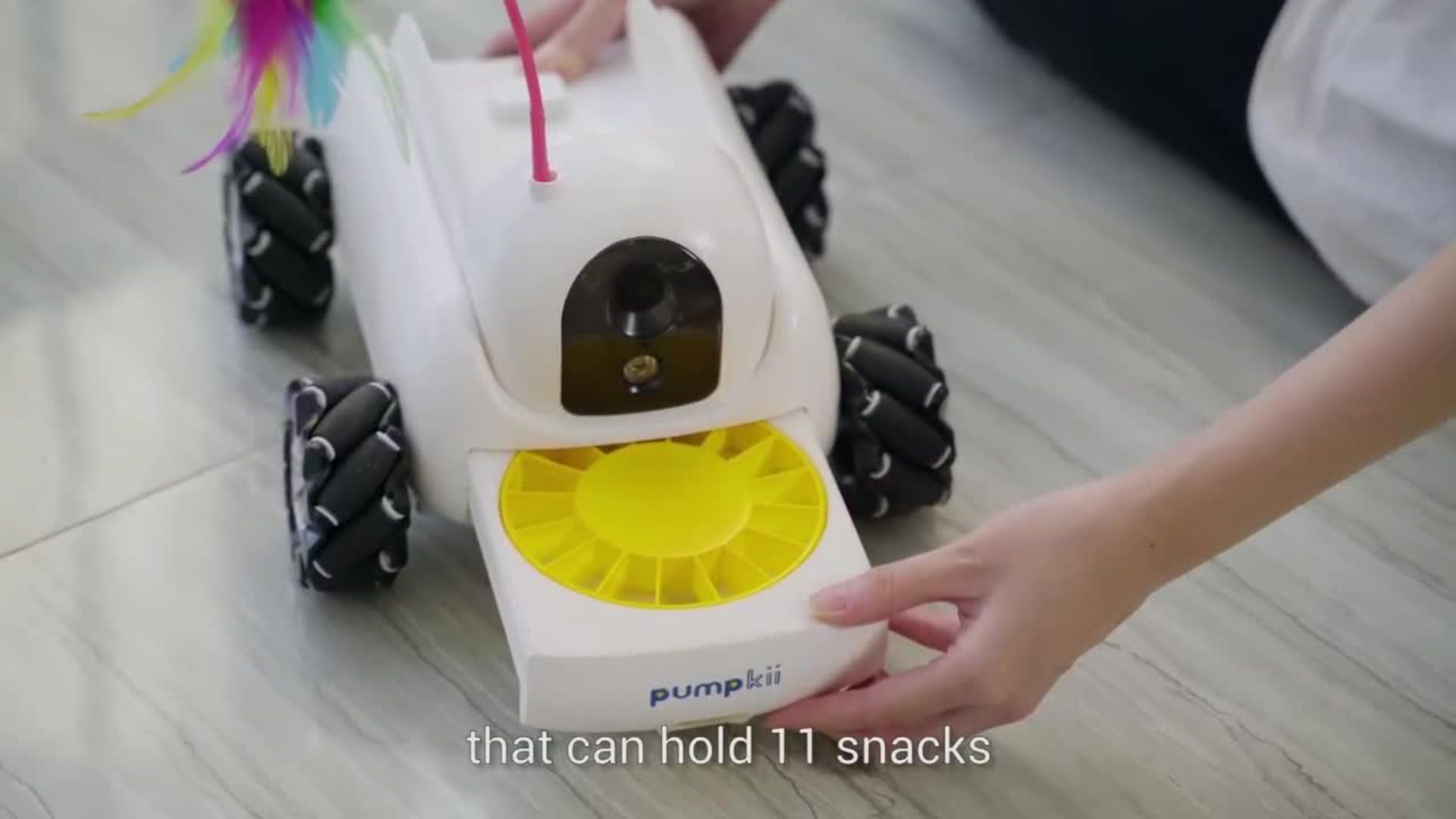 Watch Pumpkii | Wired Italia