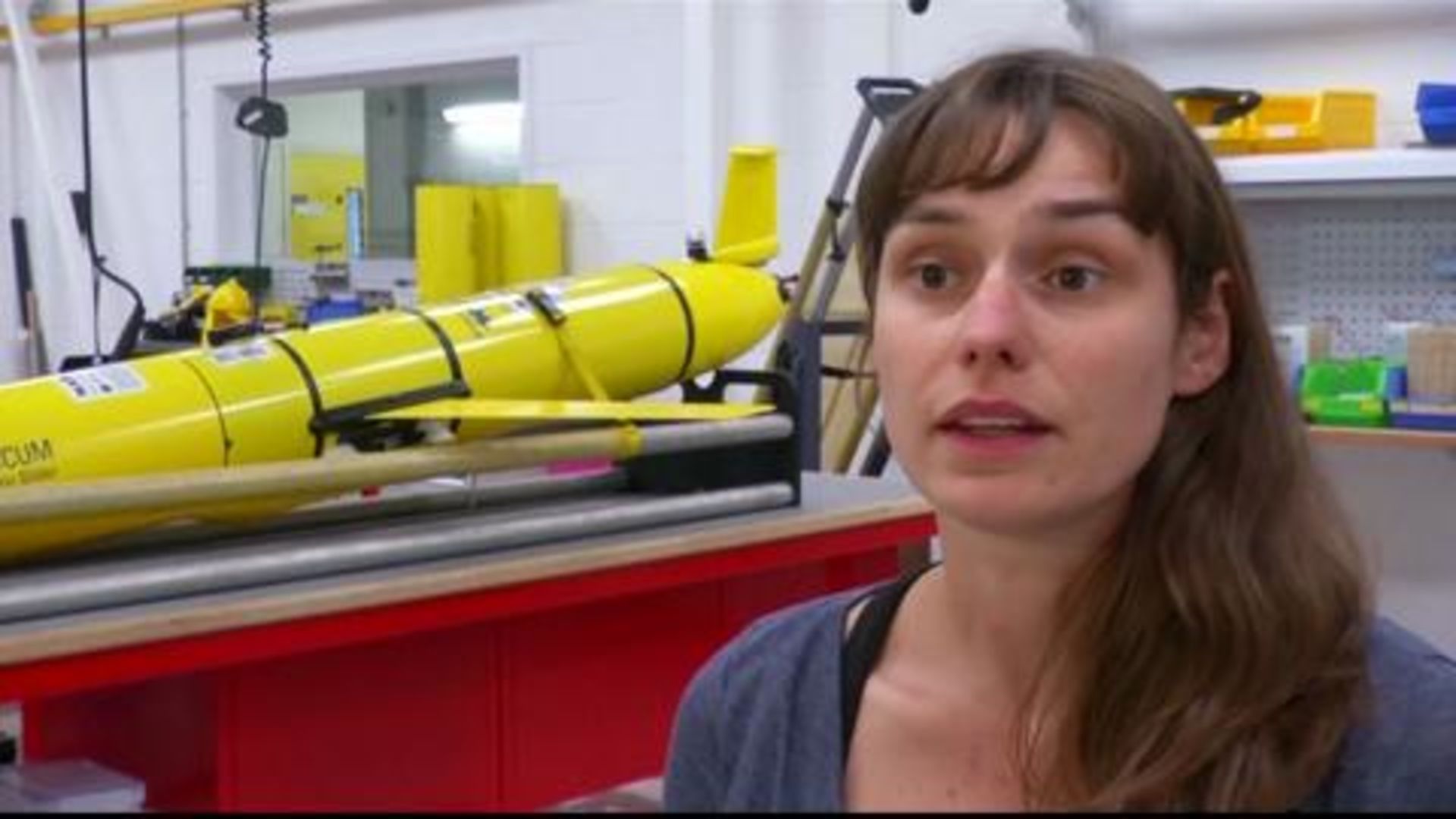 Watch Un robot marino a caccia di vita | Wired Italia