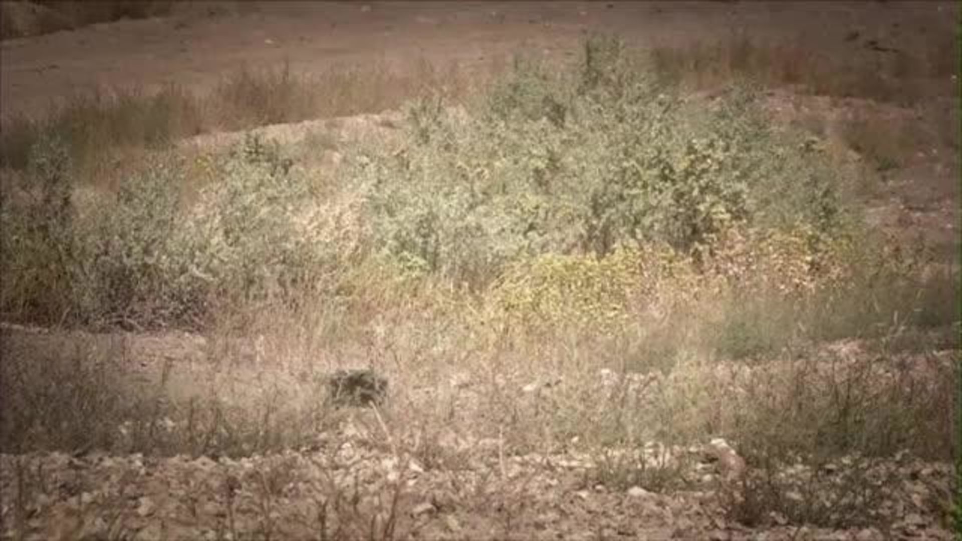 Watch Mine Kafon Drone, lo sminatore volante | Wired Italia