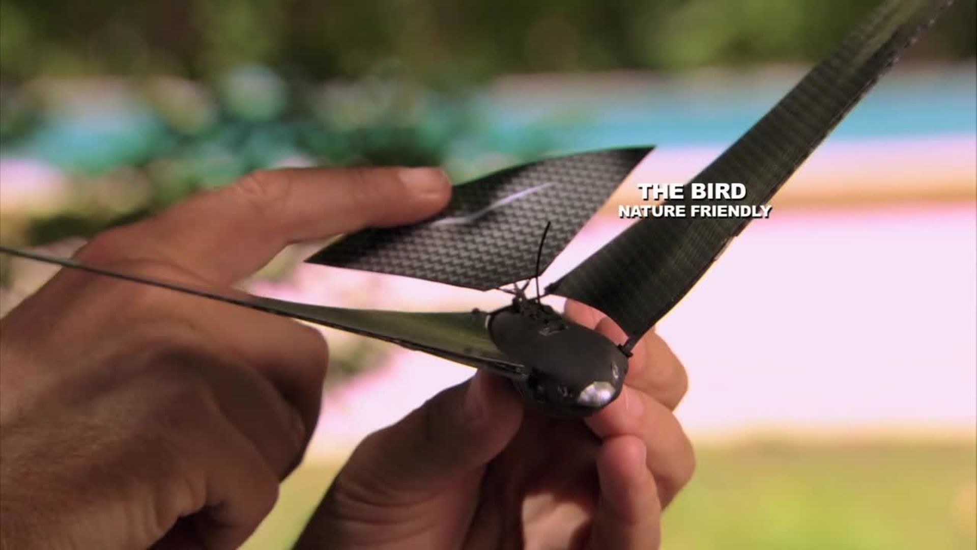 Watch Bionic Bird, il drone biomimetico che si finge un uccello | Wired ...