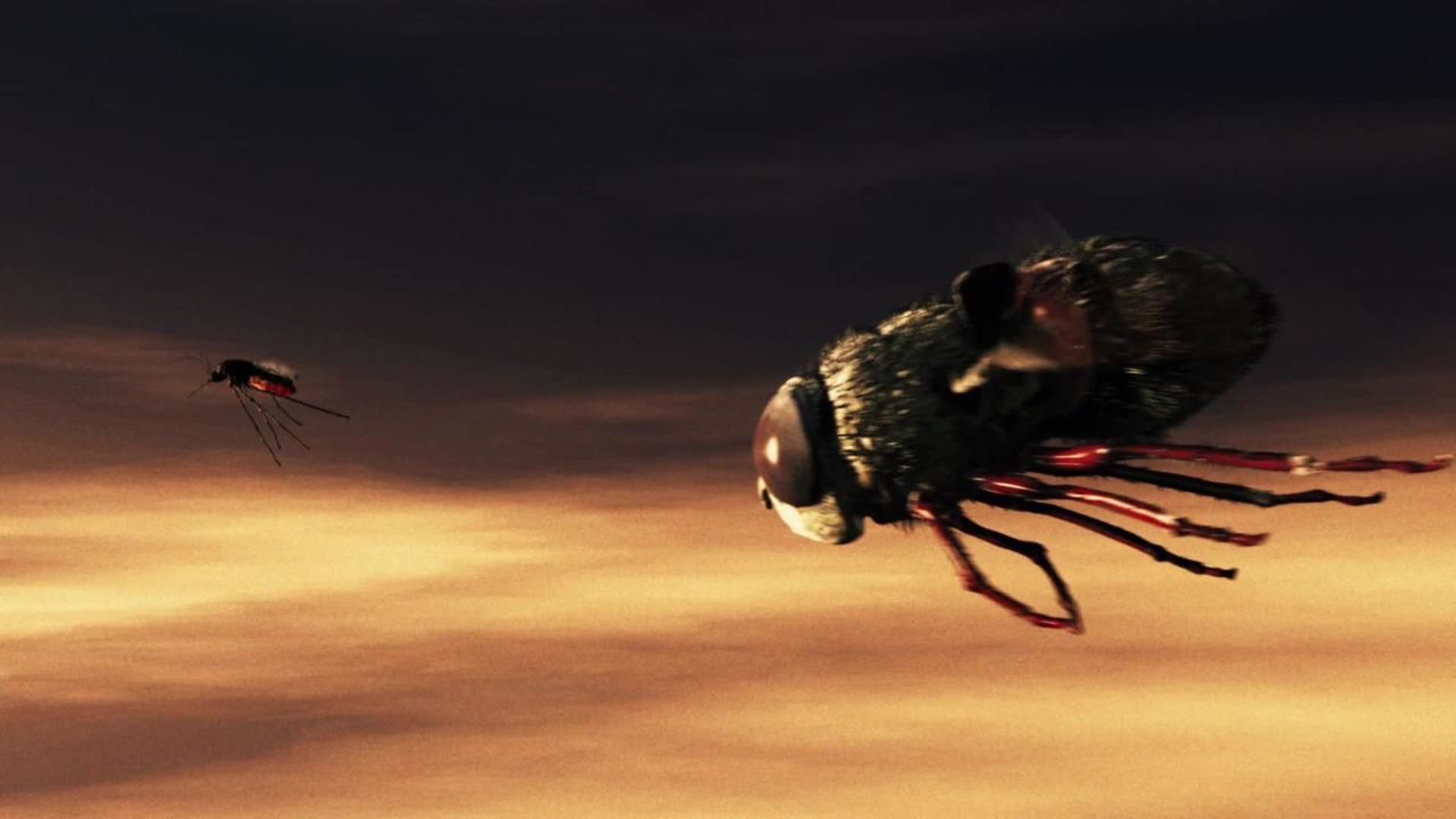 Watch Wired Science - Human Botfly | Wired Italia