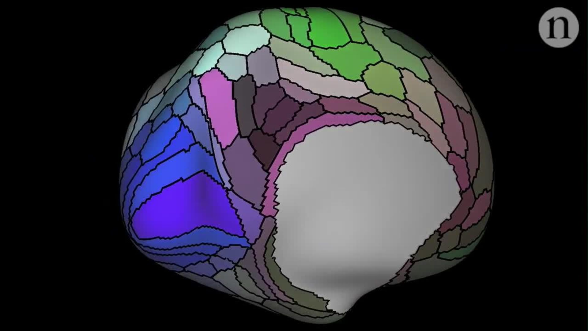 Watch La nuova mappa delle aree del cervello | Wired Italia