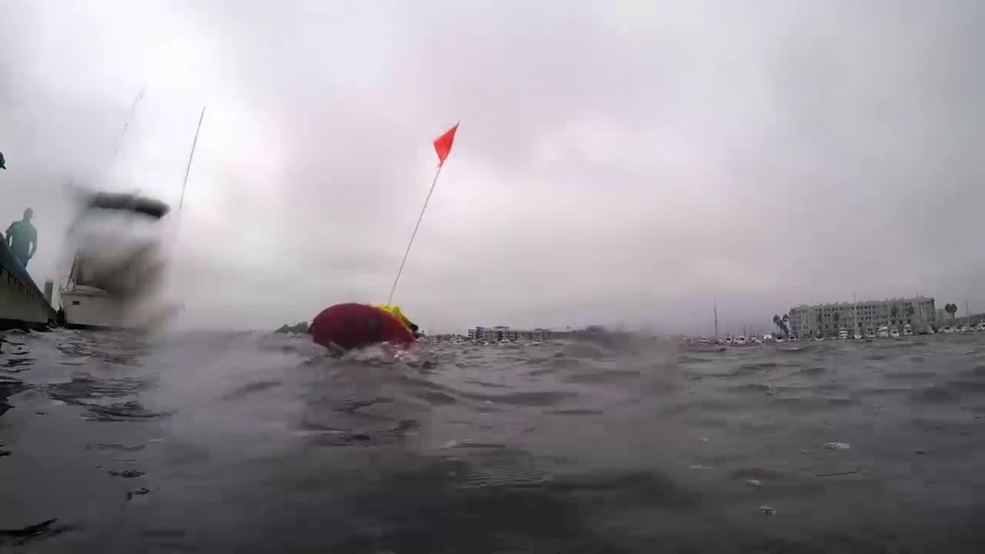 Watch Ecco Emily, il robot per il soccorso acquatico | Wired Italia