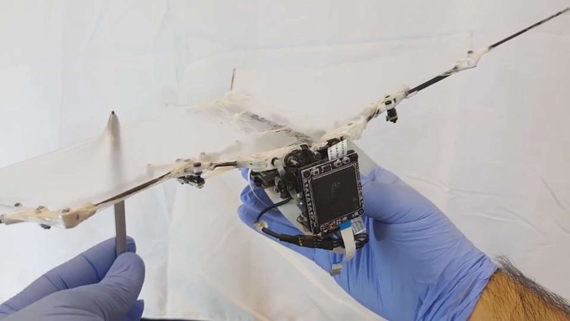 Watch Guarda Bat-Bot, il robot pipistrello | Wired Italia