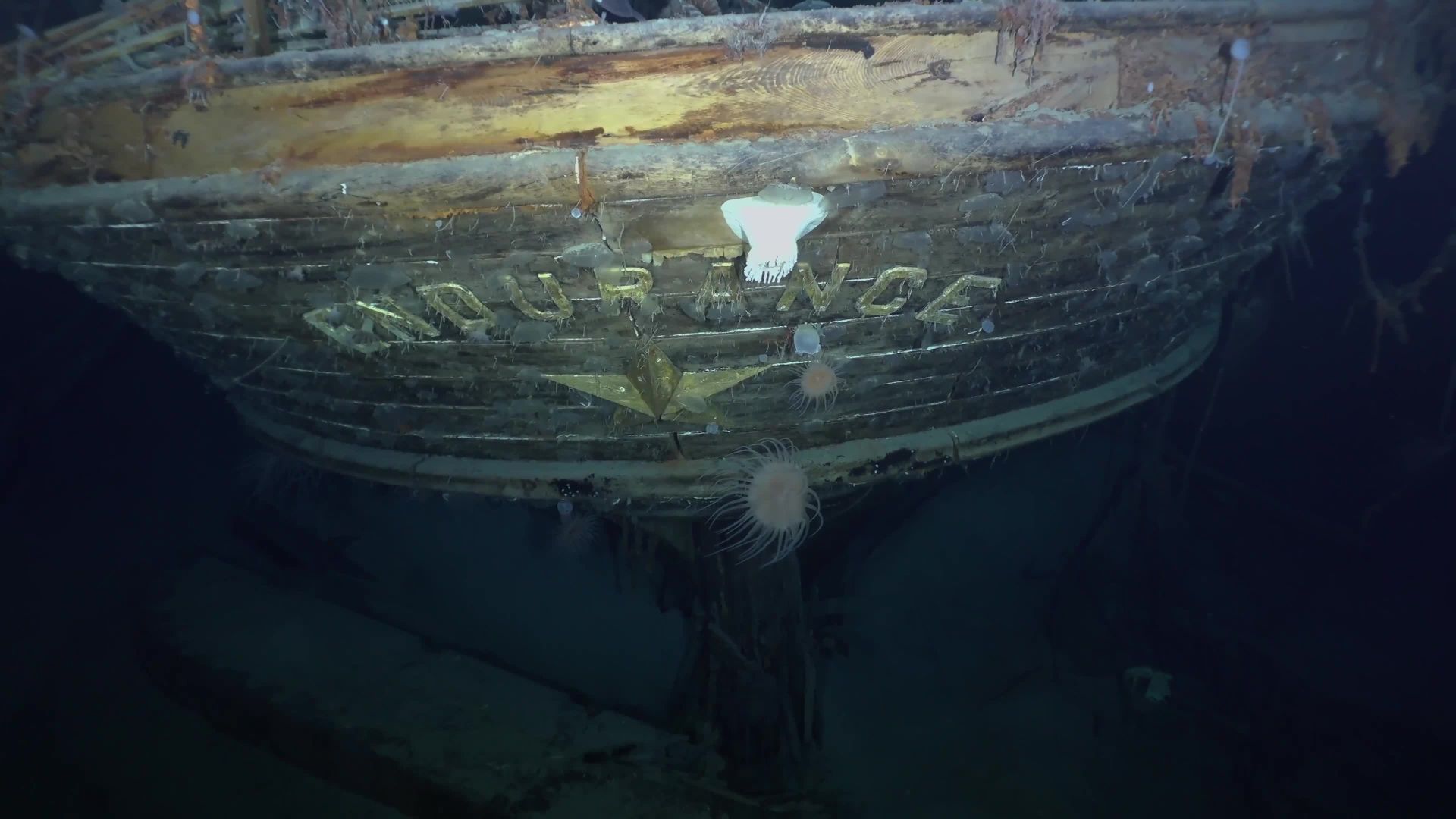 Watch La scoperta del relitto dell'Endurance di Shackleton | Wired Italia