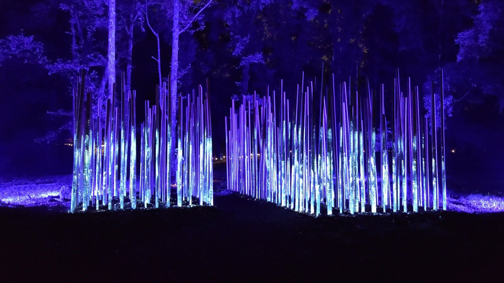 Watch Light Cycles, projection mapping e arte digitale | Wired Italia