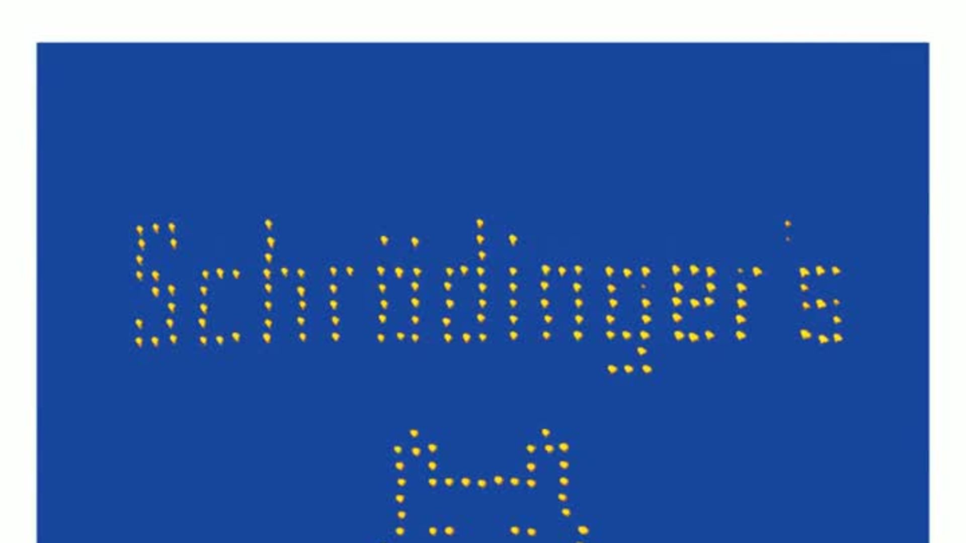 Watch Il video del gatto di Schrödinger che ci mostra come potremmo ...