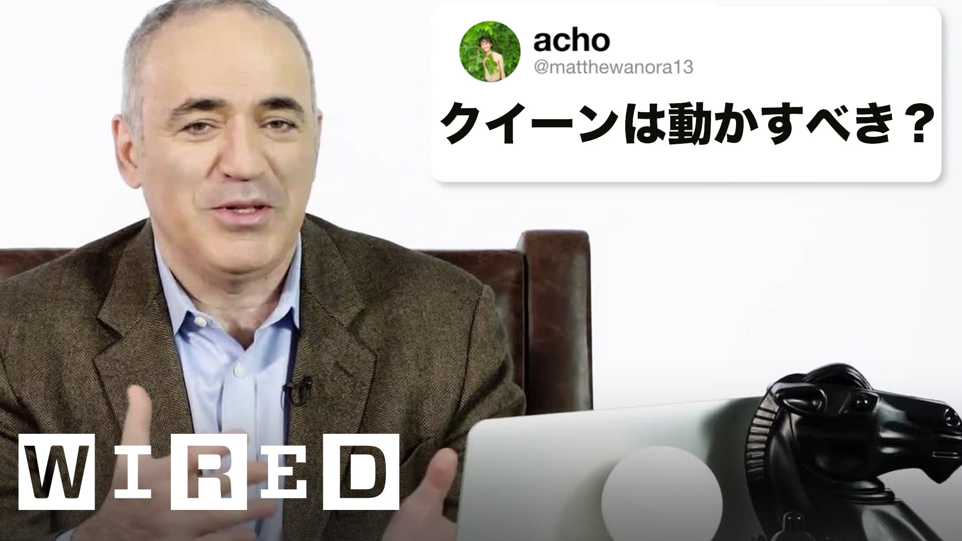 Watch チェス世界チャンピオンだけど質問ある？ | Tech Support | Tech Support | WIRED.jp